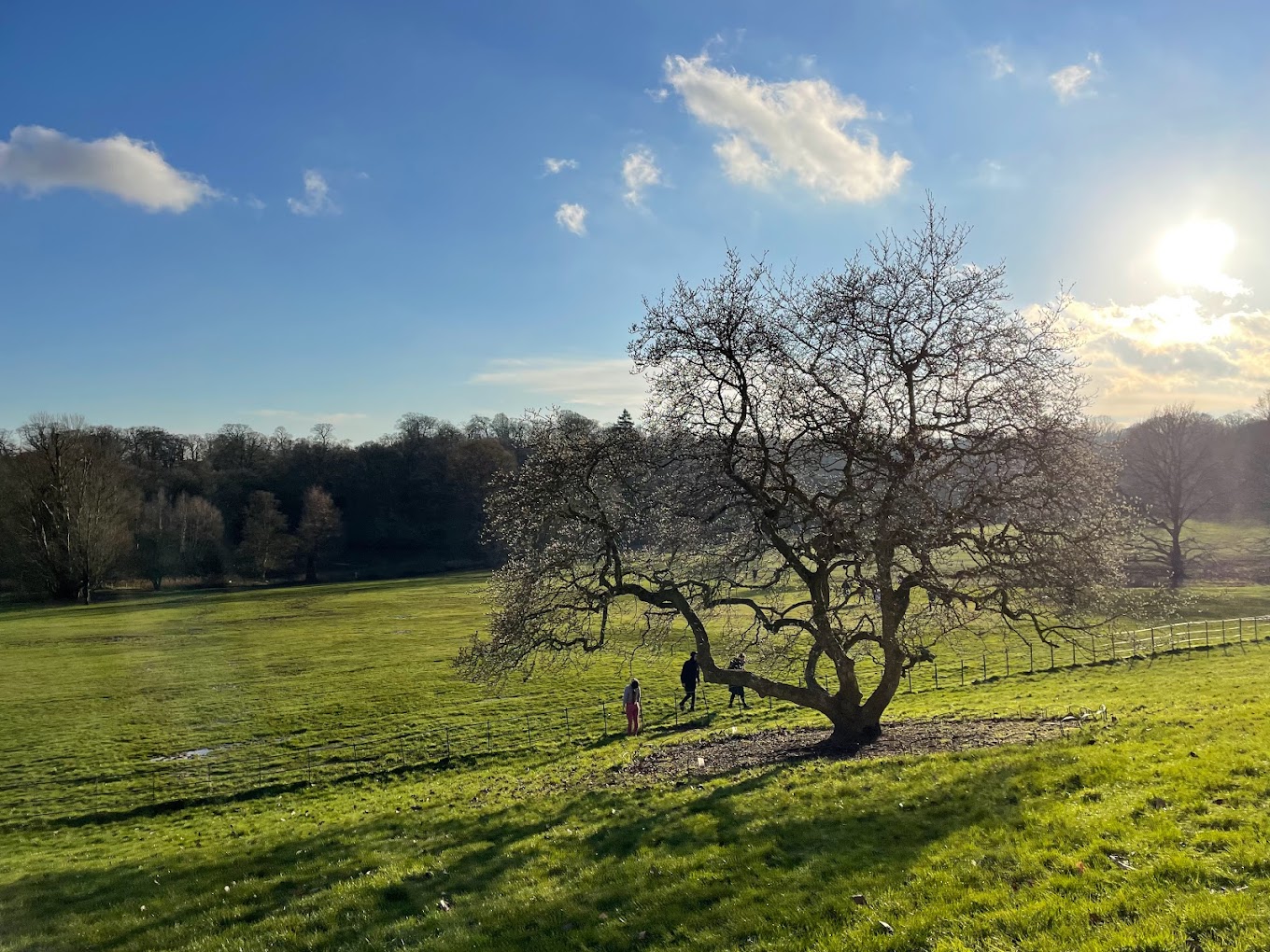 To 5 Things to do in North West London - Best In London